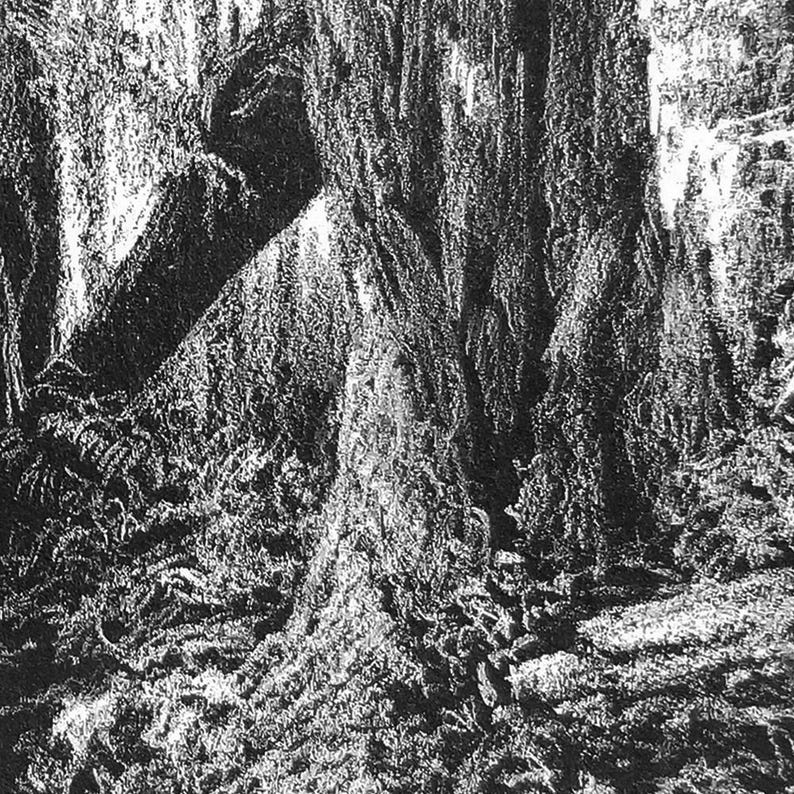 Still Standing, Art Print Black and White Tree Stump Pencil Drawing ...