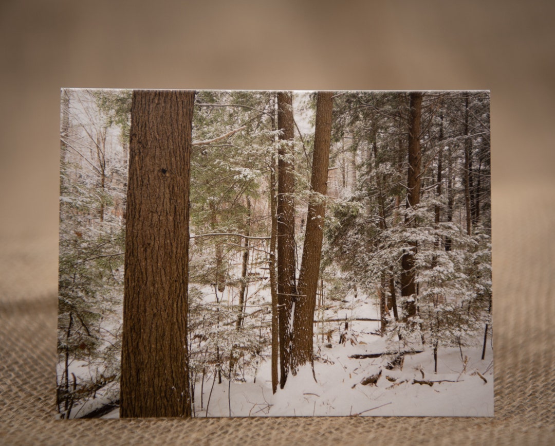 Winter Forest Note Cards - Etsy