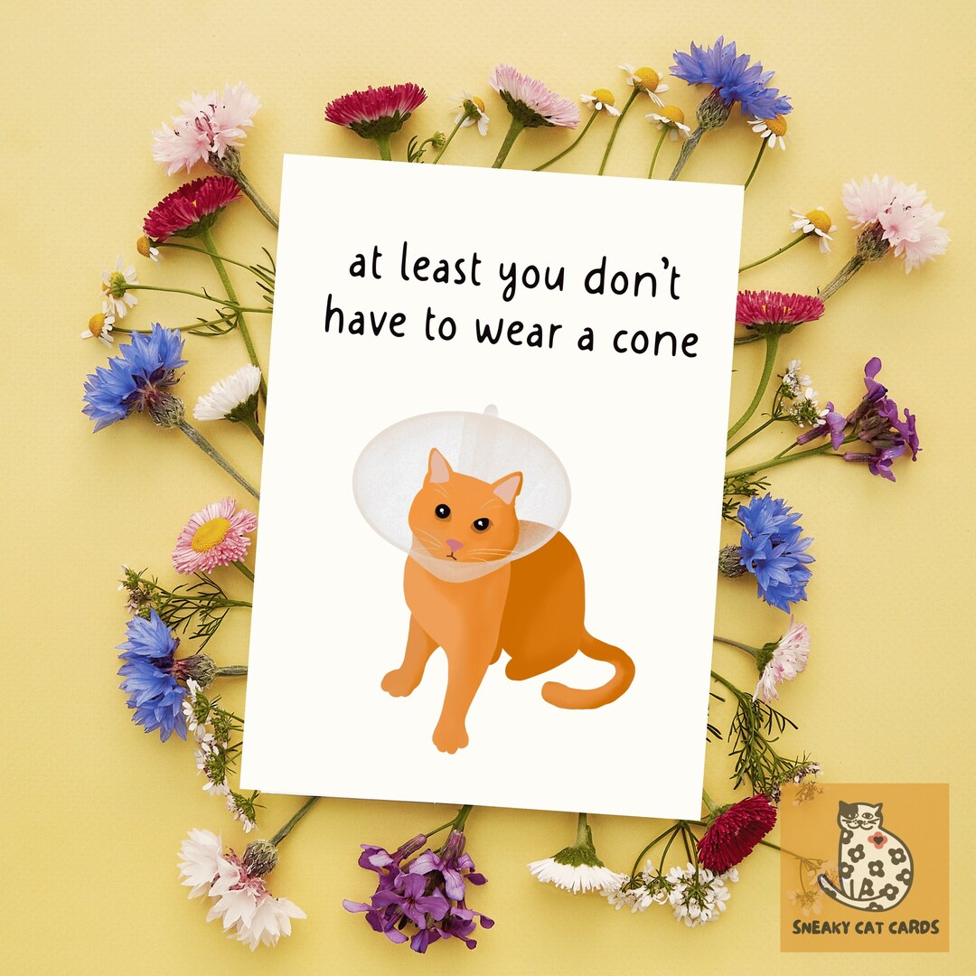 Funny Get Well Card, at Least You Don't Have to Wear A Cone, Funny ...