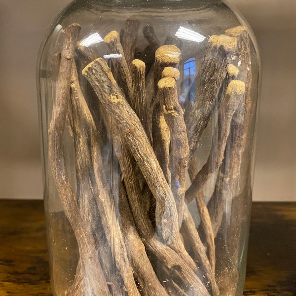 Chewing Stick - Etsy