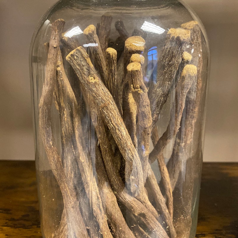 Chewing Stick - Etsy