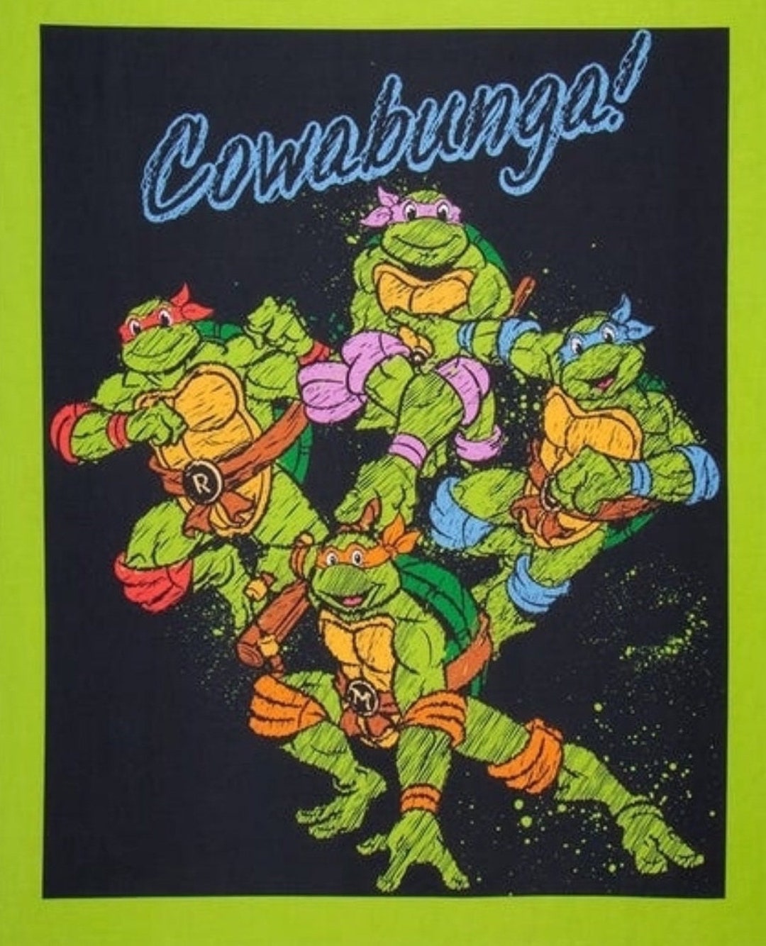 Teenage Mutant Ninja Turtles Cowabunga Panel | 45x36 CP68267 | Cotton ...