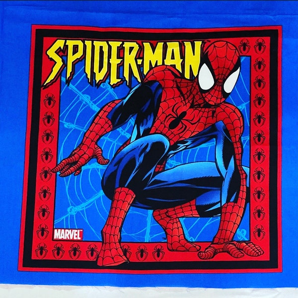 Spiderman Border - Etsy