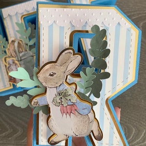 Peter Rabbit 3D Letters / Peter Rabbit Birthday Decorations/ | Etsy