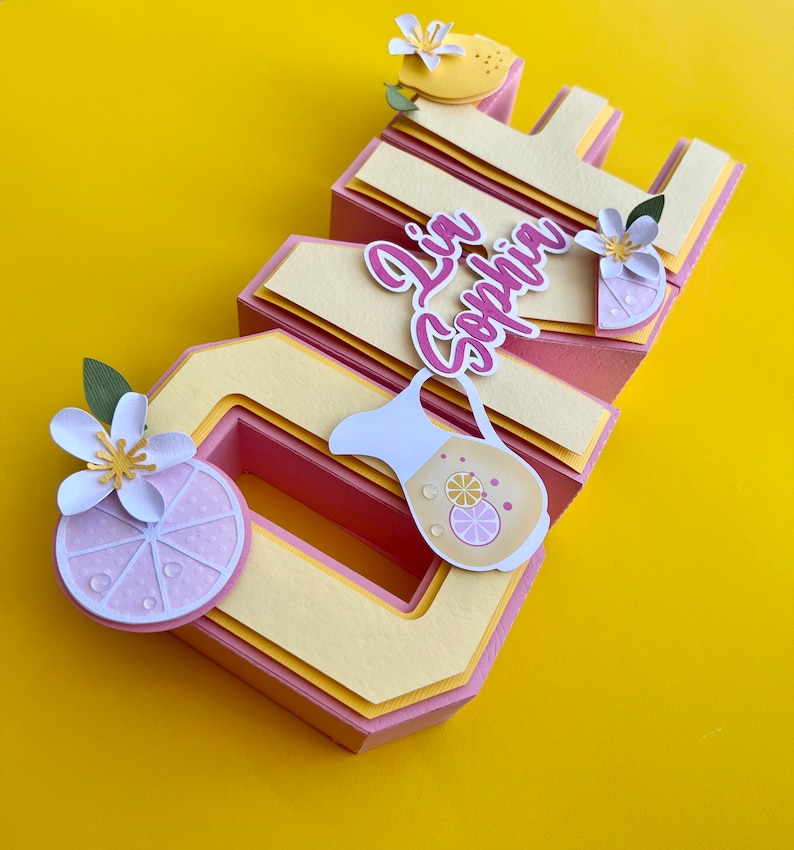 Pink Lemonade 3D Letters/ Pink Lemonade Birthday Decorations/ Pink ...