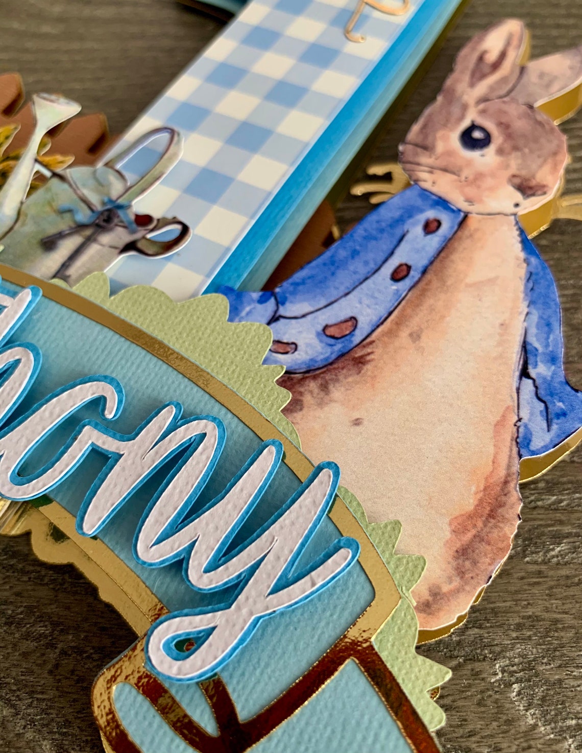 Peter Rabbit Cake Topper / Peter Rabbit Birthday Party/ Peter - Etsy