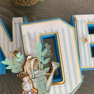Peter Rabbit 3D Letters / Peter Rabbit Birthday Decorations/ | Etsy