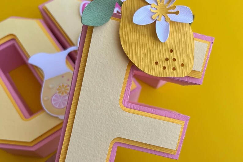 Pink Lemonade 3D Letters/ Pink Lemonade Birthday Decorations/ - Etsy