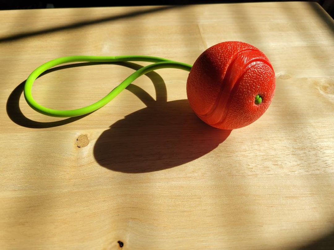 BEST Dog Fetch Toy EVER: the Slingshot Ball - Etsy