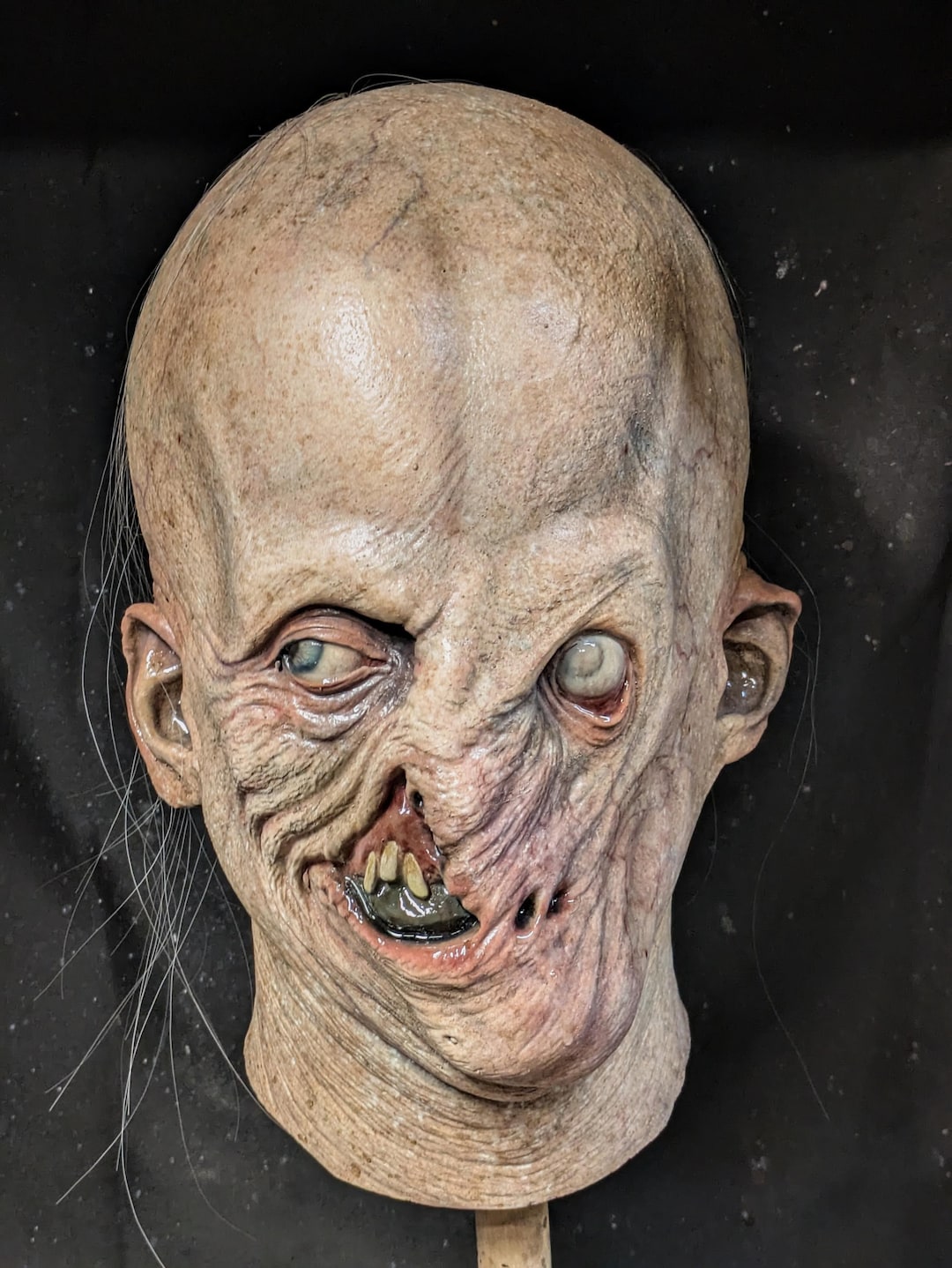 SMIRK Latex Horror Display Head *not Wearable* Halloween Mutant Not ...