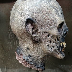 Rotted Vampire Latex Halloween Display Head *not Wearable* Jason ...