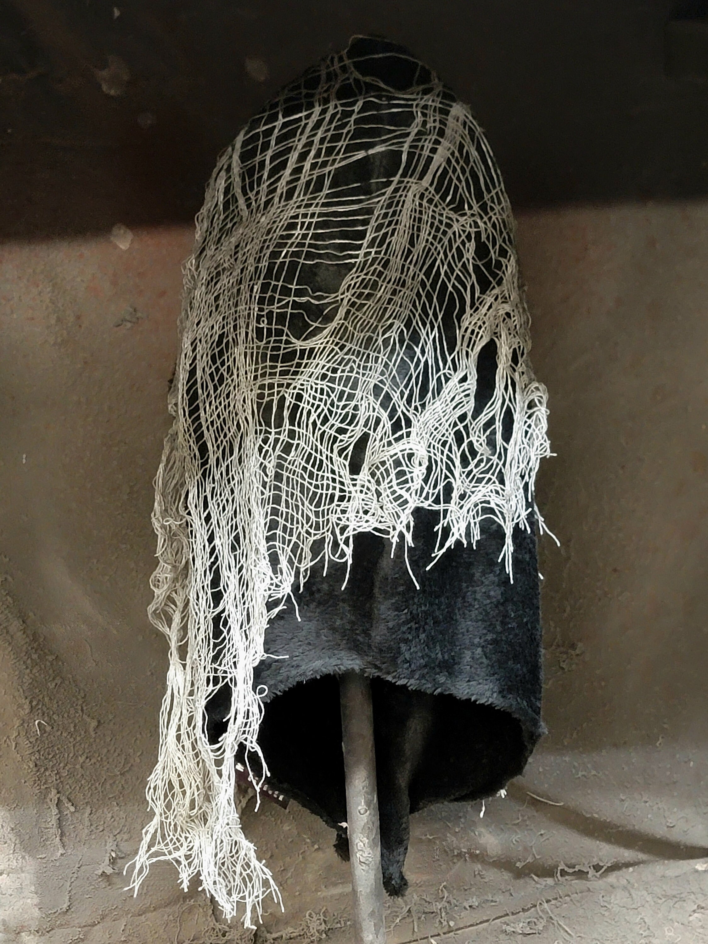 Latex Wearable Zombie Skull Halloween Mask - Etsy