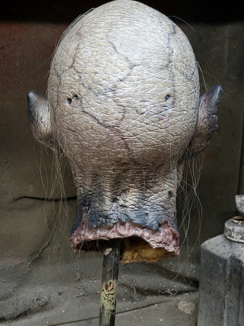 Rotted Vampire Latex Halloween Display Head *not Wearable* Jason ...