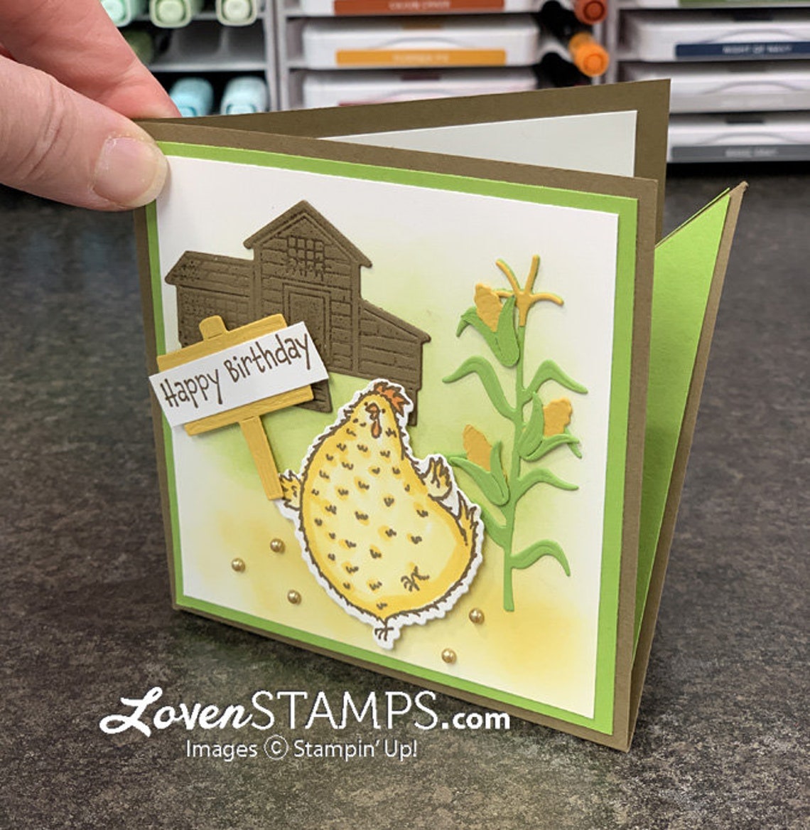 Stampin' Up! Hey Birthday Chick Card Tutorials - PDF ONLY - Etsy