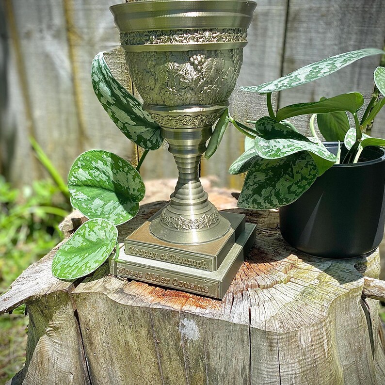Medieval Trophy Chalice Cup, Vintage PERSONALIZED, 3D Printed Gift - Etsy
