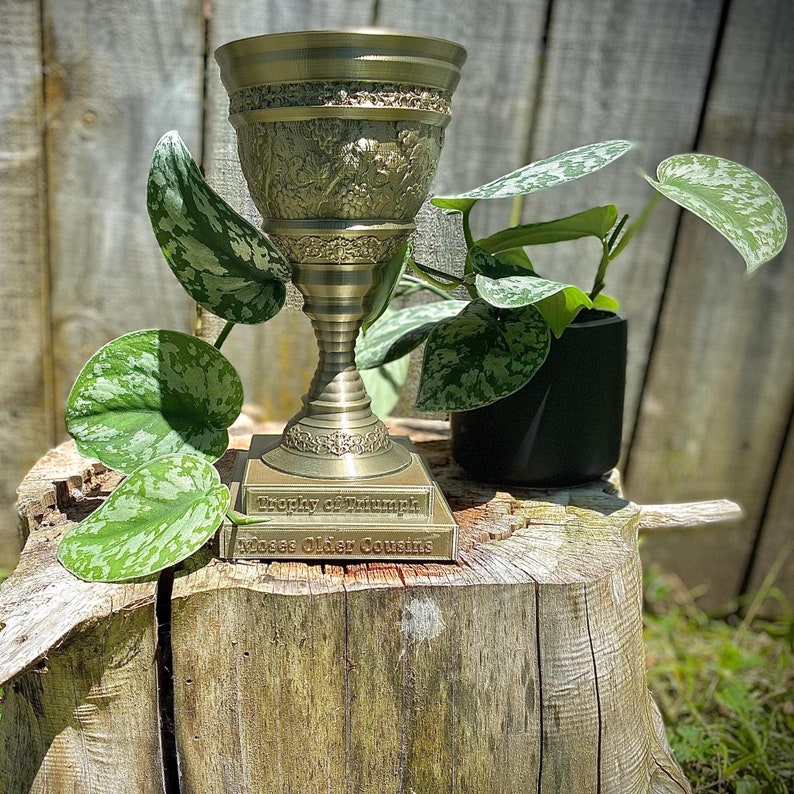Medieval Trophy Chalice Cup, Vintage PERSONALIZED, 3D Printed Gift - Etsy