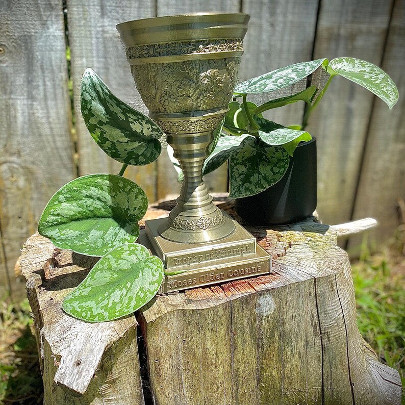 Medieval Trophy Chalice Cup, Vintage PERSONALIZED, 3D Printed Gift - Etsy