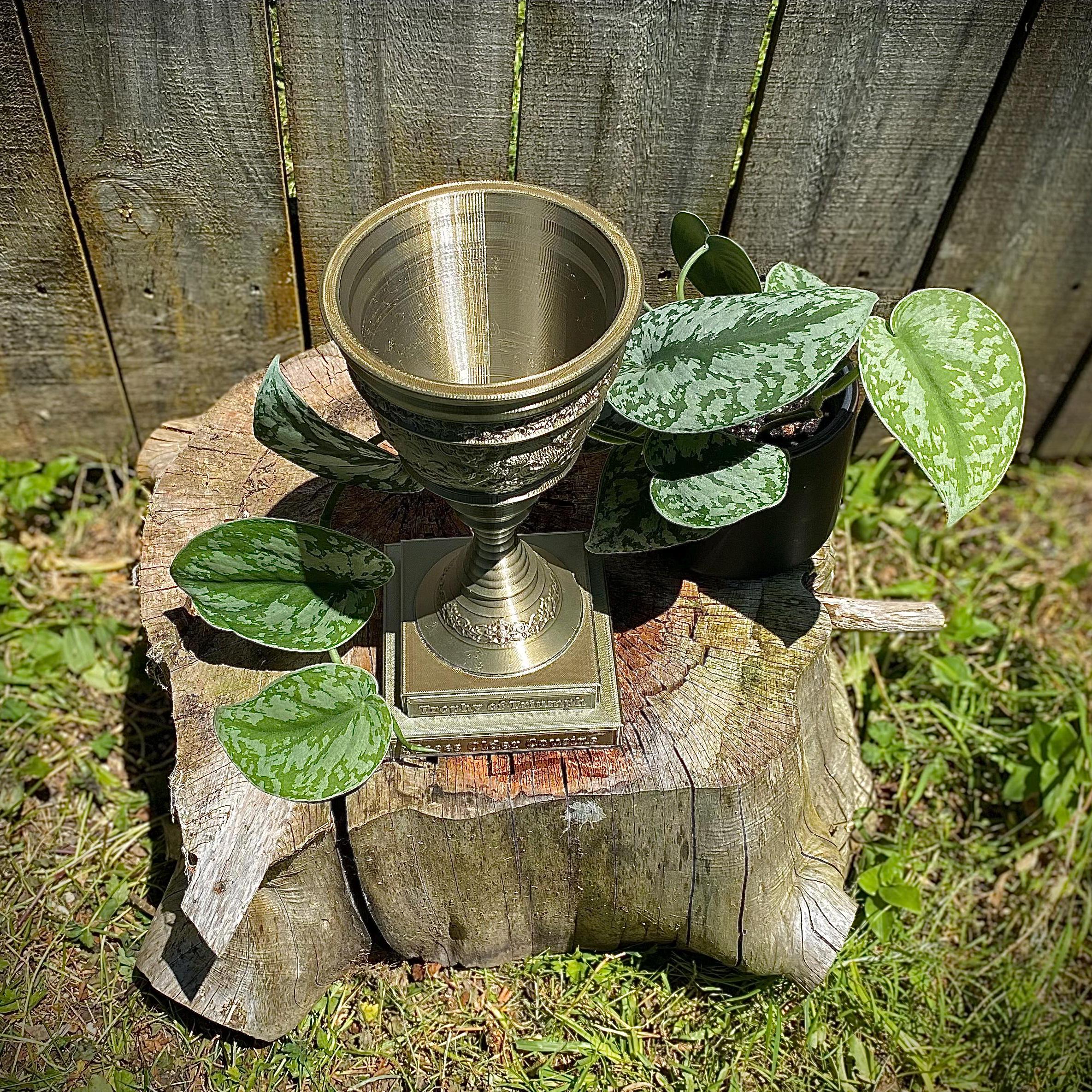 Medieval Trophy Chalice Cup, Vintage PERSONALIZED, 3D Printed Gift - Etsy