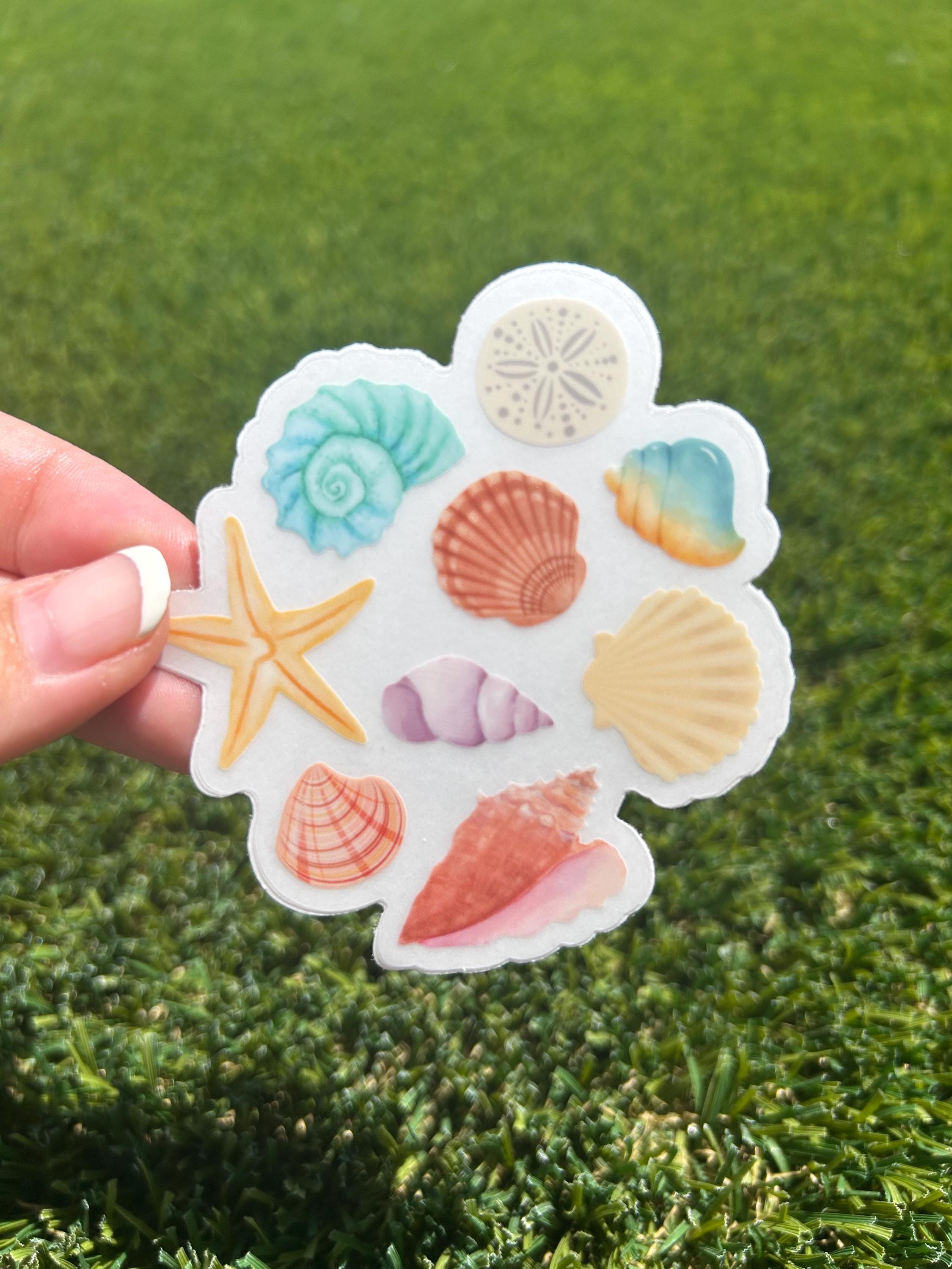 Seashell Stickers, Beach Theme Stickers, Summer Stickers, Beach ...
