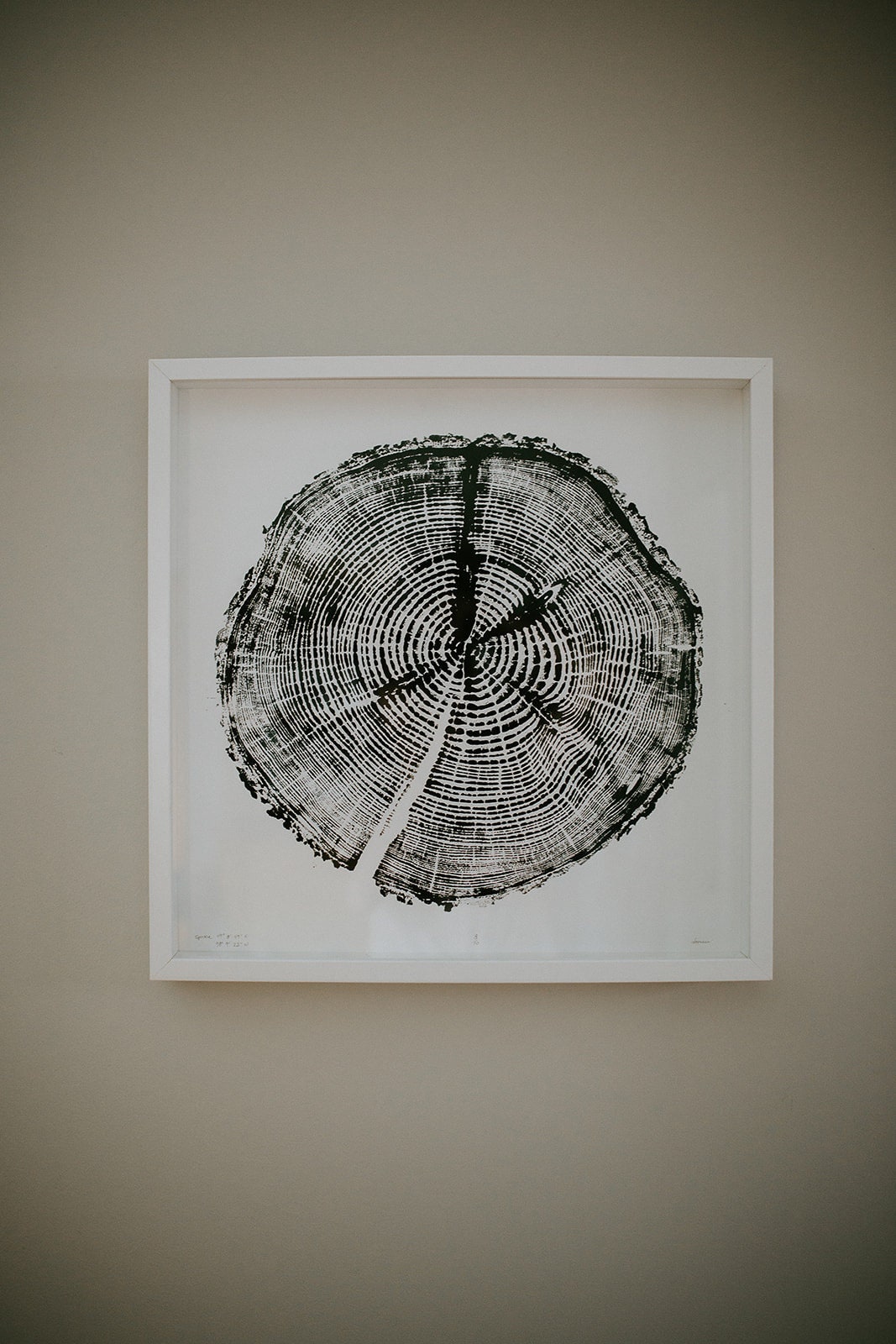 Spruce Handprinted Art Print Woodcut Print Tree Stump Tree - Etsy