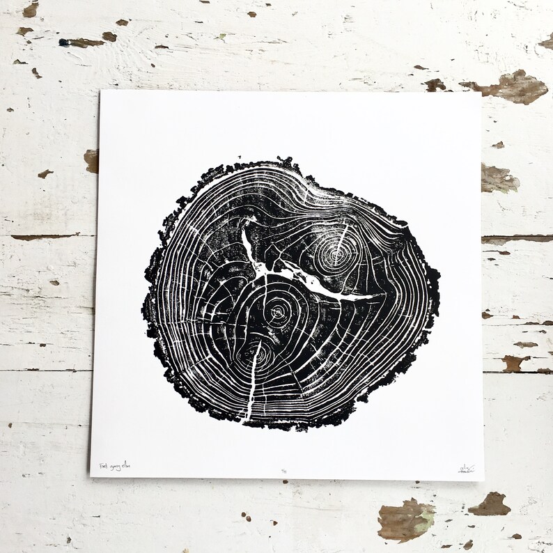 Elm Wood Print | Fort Garry Elm | Handprinted Tree Rings | Woodcut ...