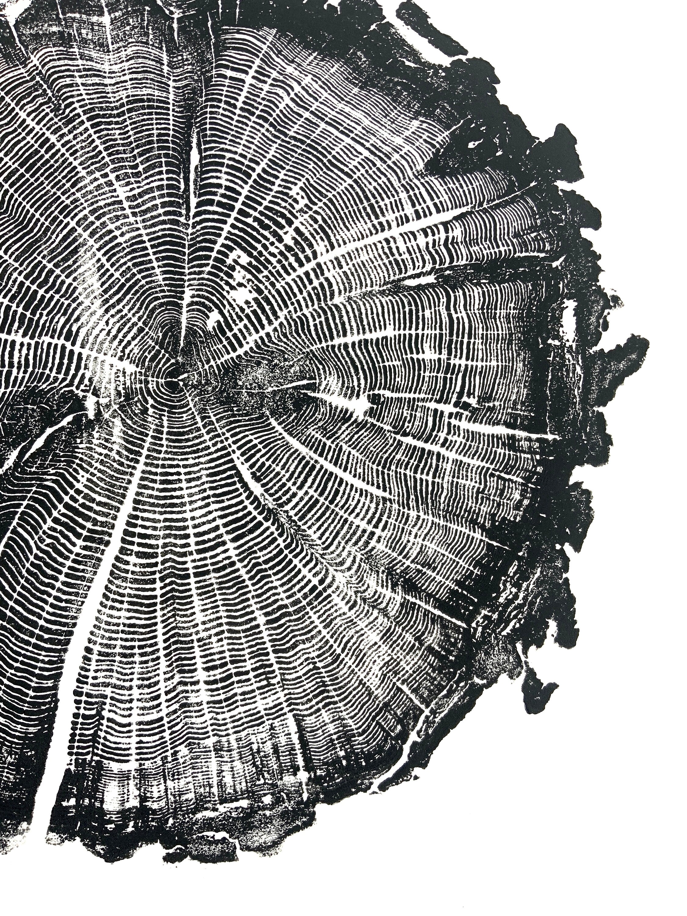 Oak II Wood Print, Handprinted Tree Rings, Woodcut Print, Nature Art ...