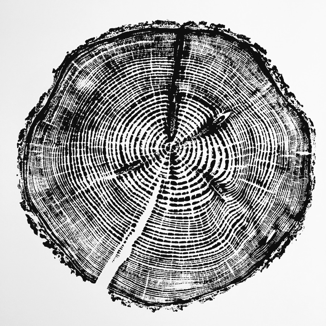 Spruce, Handprinted Art Print, Woodcut Print, Tree Stump, Tree Rings ...