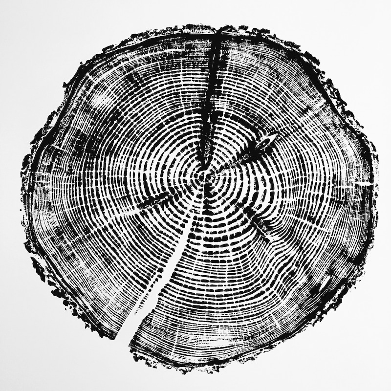 Tree Stump Print - Etsy