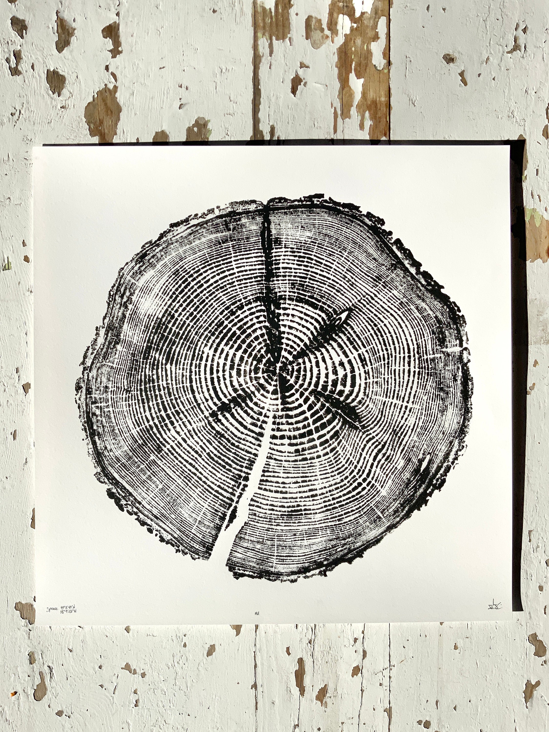 Spruce Handprinted Art Print Woodcut Print Tree Stump Tree - Etsy