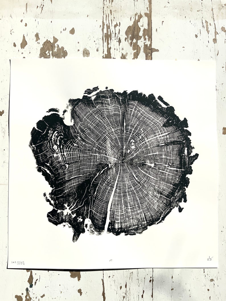 Oak II Wood Print Handprinted Tree Rings Woodcut Print - Etsy