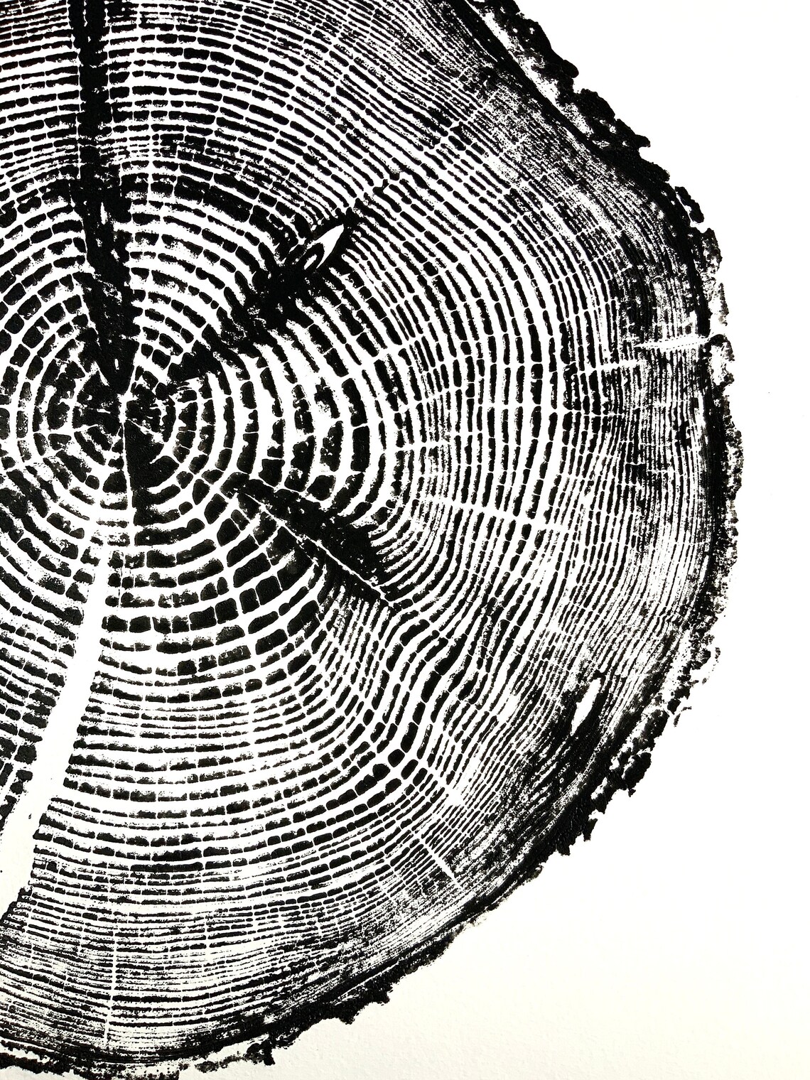 Spruce Handprinted Art Print Woodcut Print Tree Stump Tree - Etsy