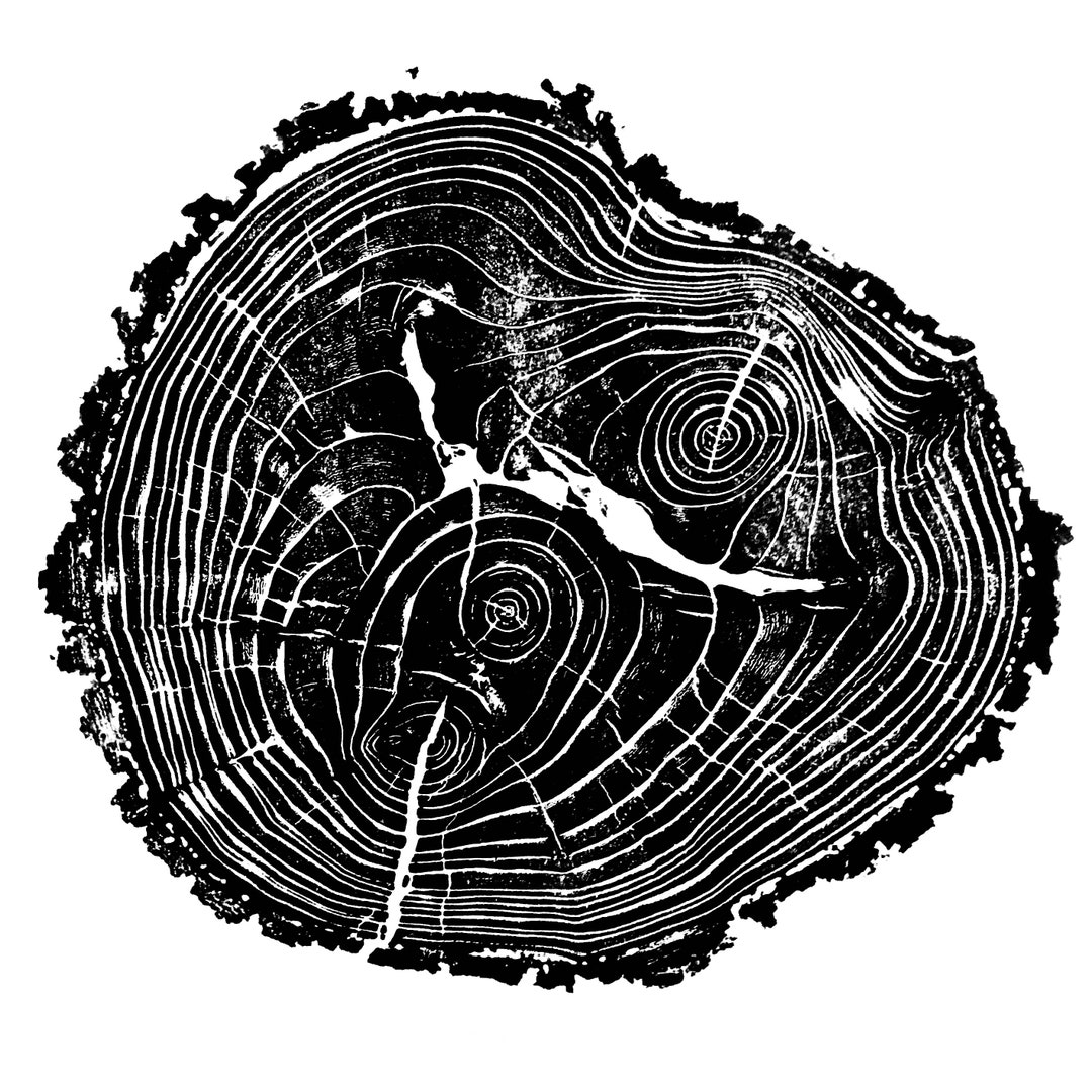 Elm Wood Print | Fort Garry Elm | Handprinted Tree Rings | Woodcut ...