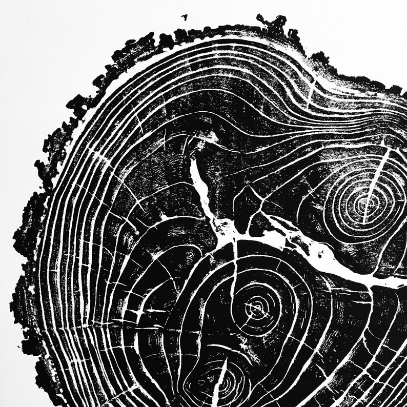 Elm Wood Print | Fort Garry Elm | Handprinted Tree Rings | Woodcut ...