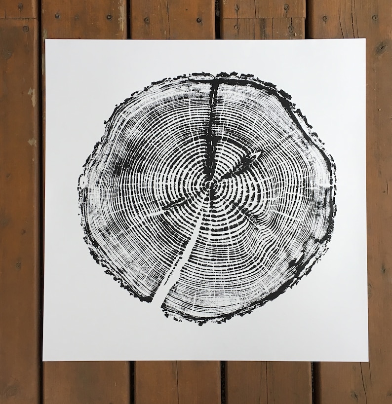 Spruce, Handprinted Art Print, Woodcut Print, Tree Stump, Tree Rings ...