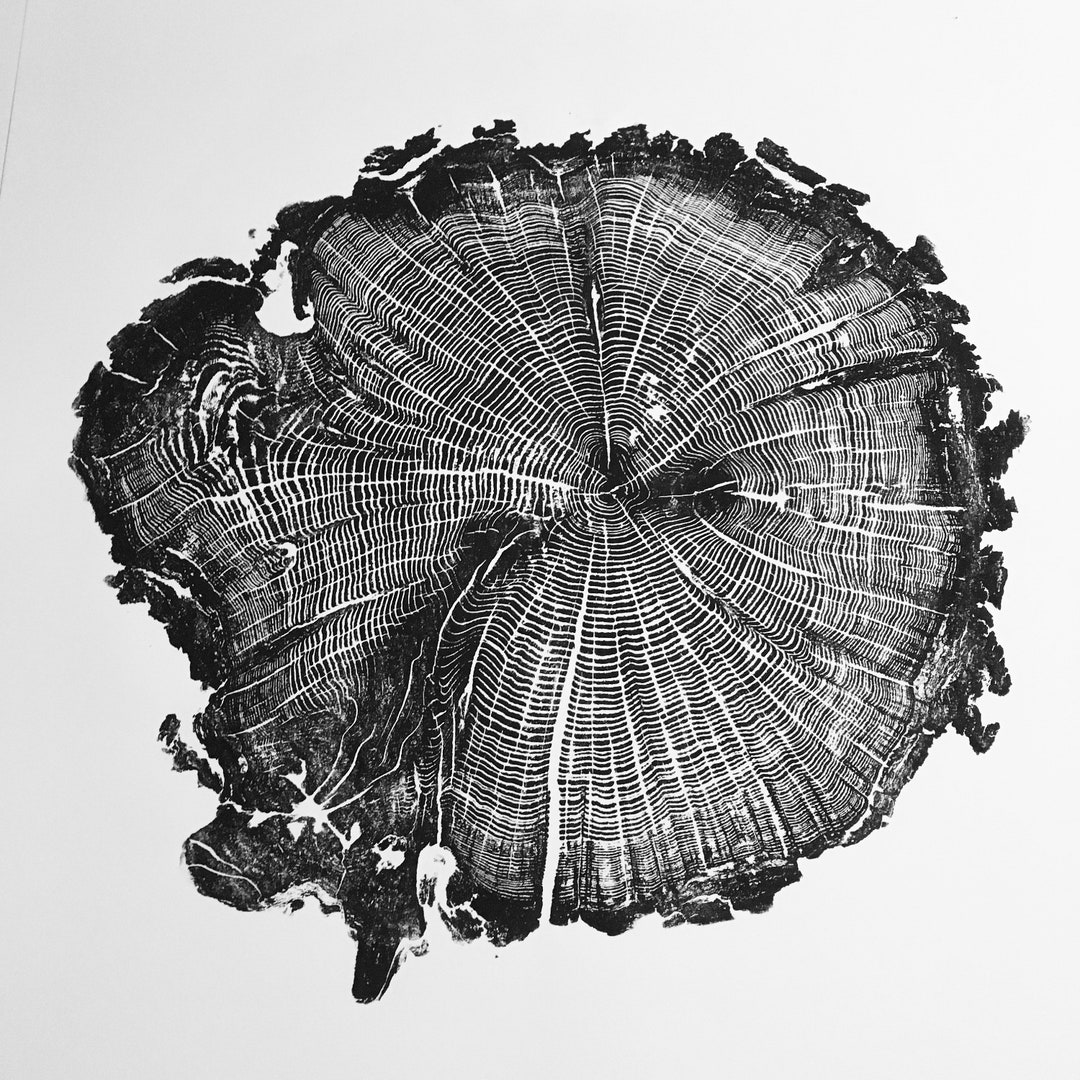 Oak II Wood Print, Handprinted Tree Rings, Woodcut Print, Nature Art ...