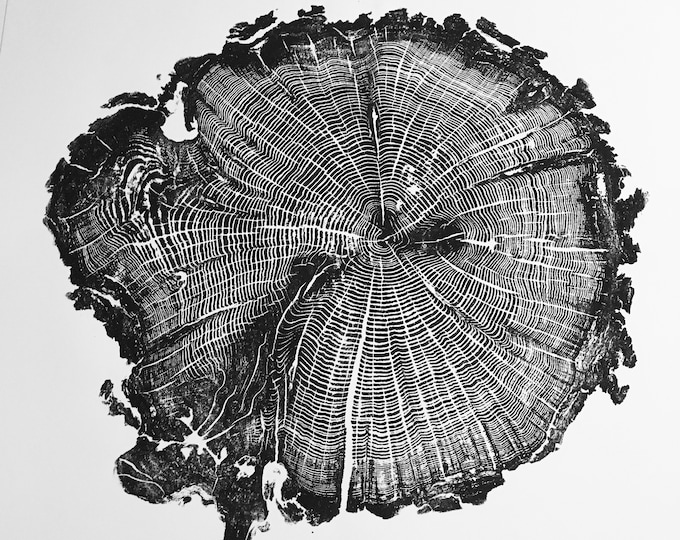Spruce, Handprinted Art Print, Woodcut Print, Tree Stump, Tree Rings ...