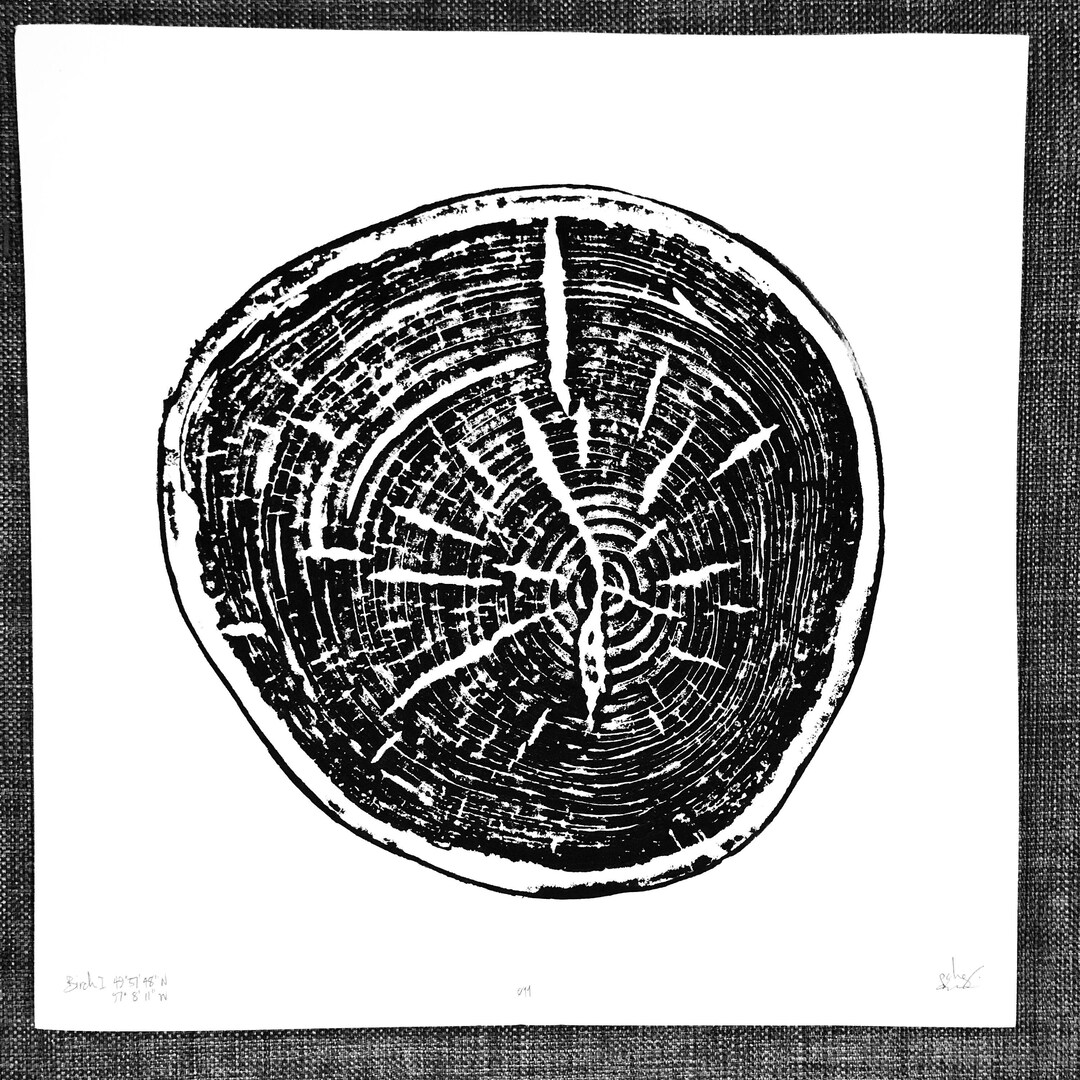 Birch Wood Print, Handprinted Tree Rings, Woodcut Print, Nature Art ...