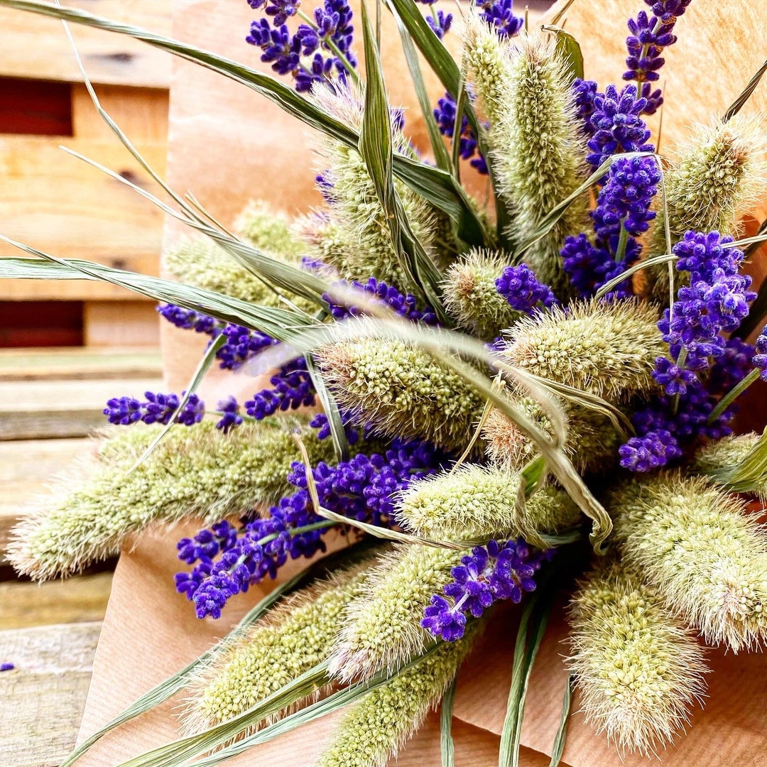 Scented Lavender Mixed With Setara - Etsy