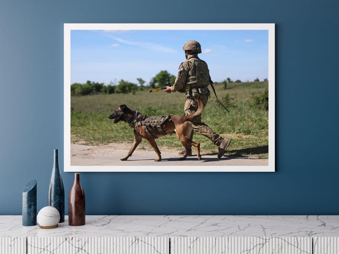 British Army Dog Handler on Patrol | Photo Print | Military | British Army | Soldier | UK | Wall ...