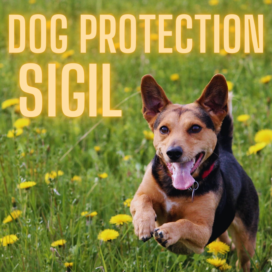 Dog Protection SIGIL, Pet Safety Spell, Printable Witchcraft Grimoire ...