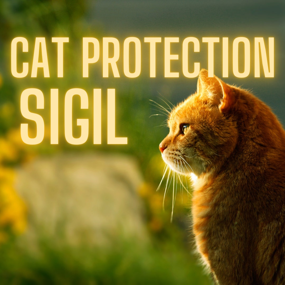 Cat Protection SIGIL, Pet Safety Spell, Printable Witchcraft Grimoire ...