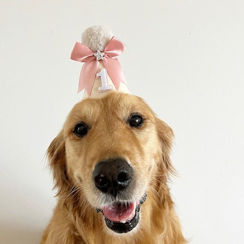 Dog Birthday Hat - Etsy