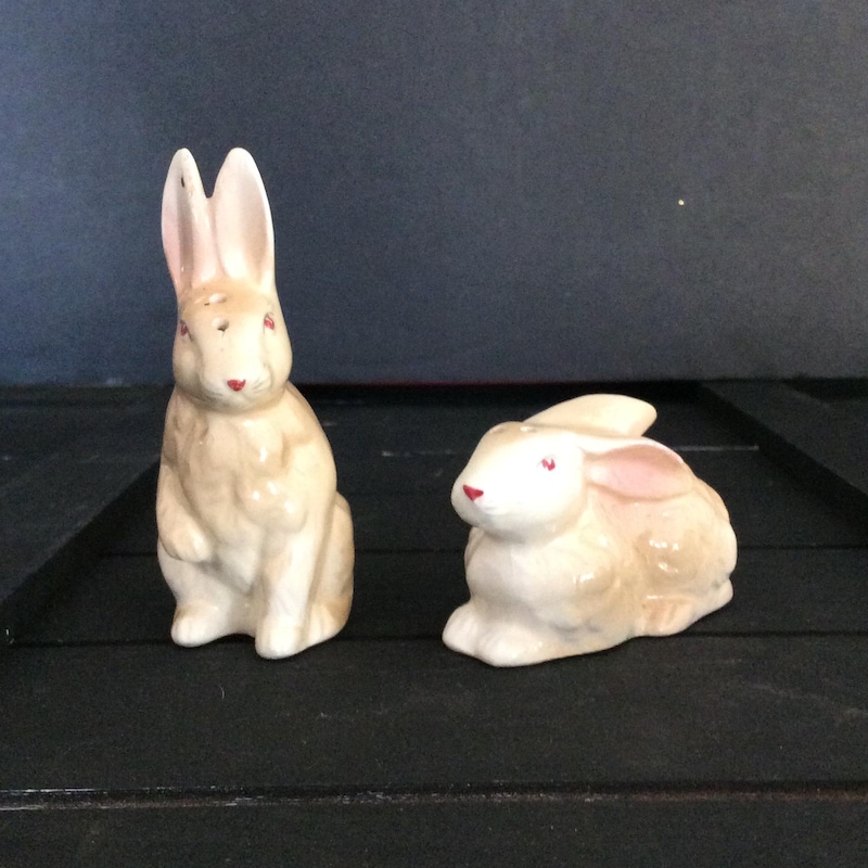 Bunny Rabbit Salt and Pepper Shakers - Etsy