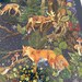 Enchanted Forest Christmas Advent Calendar Large With Envelope FREE UK ...