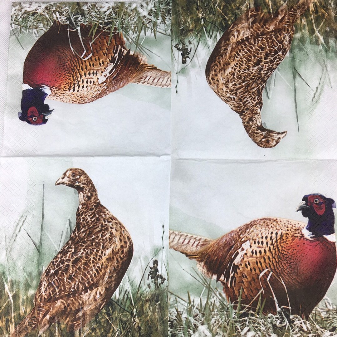 5 X Paper Party Napkins Pheasant and Grouse Game Birds Party Serviettes ...