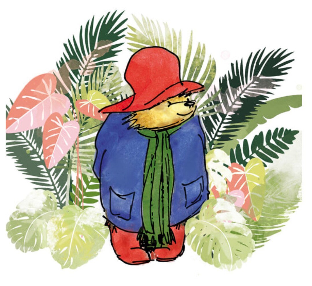 Paddington Bear in the Jungle Greetings Card With White Envelope FREE ...