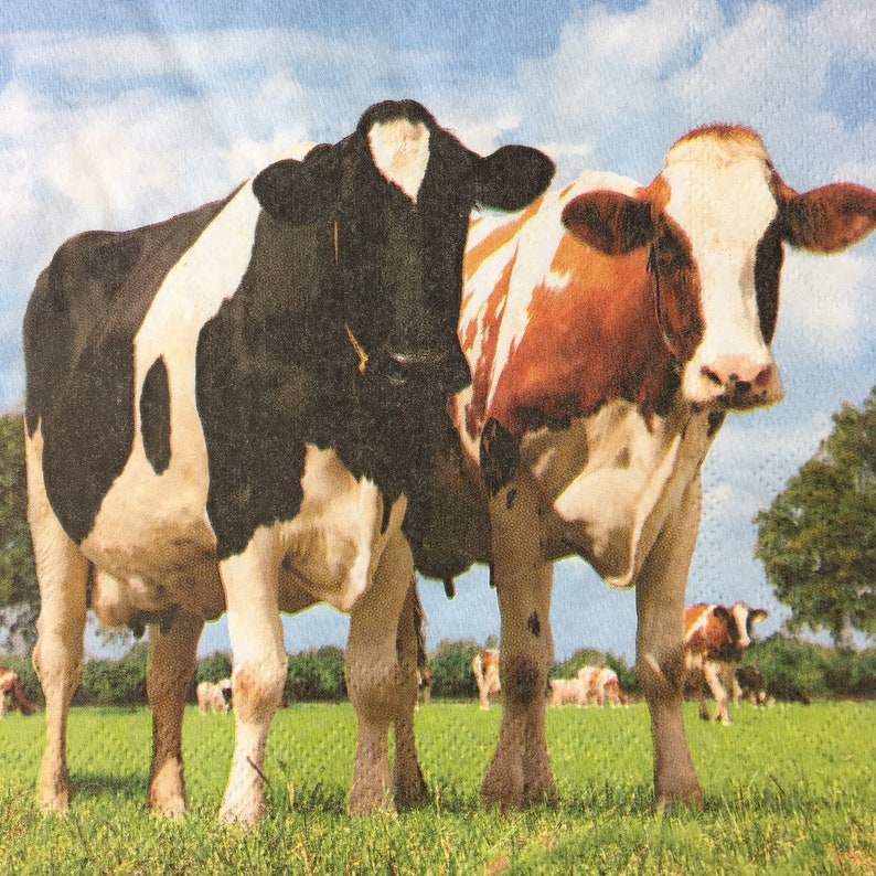 5 Paper Party Napkins Cows Pack of 5 3 Ply Animals Tissue Serviettes ...