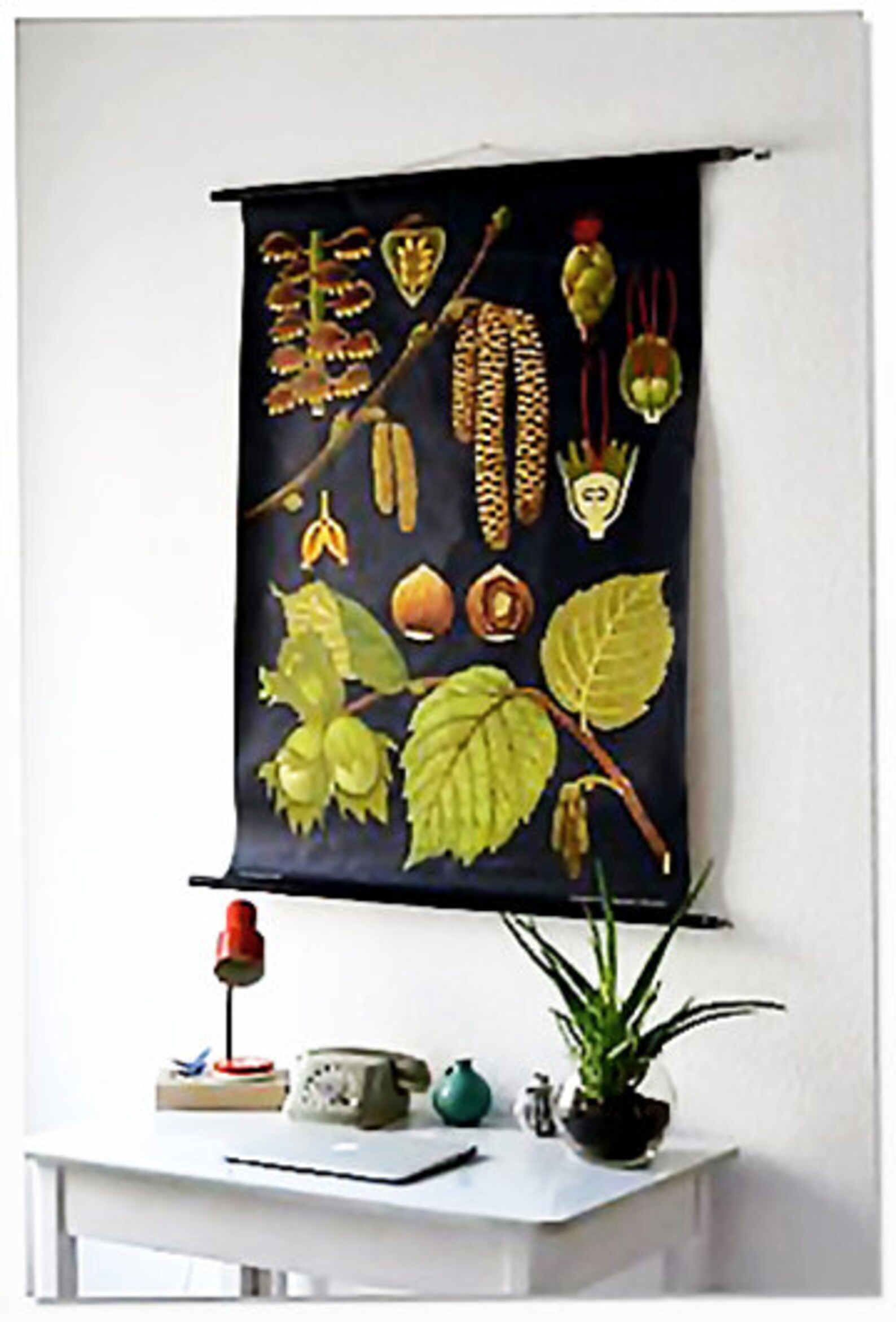 Vintage Educational Pull Down Botanical Wall Chart School - Etsy
