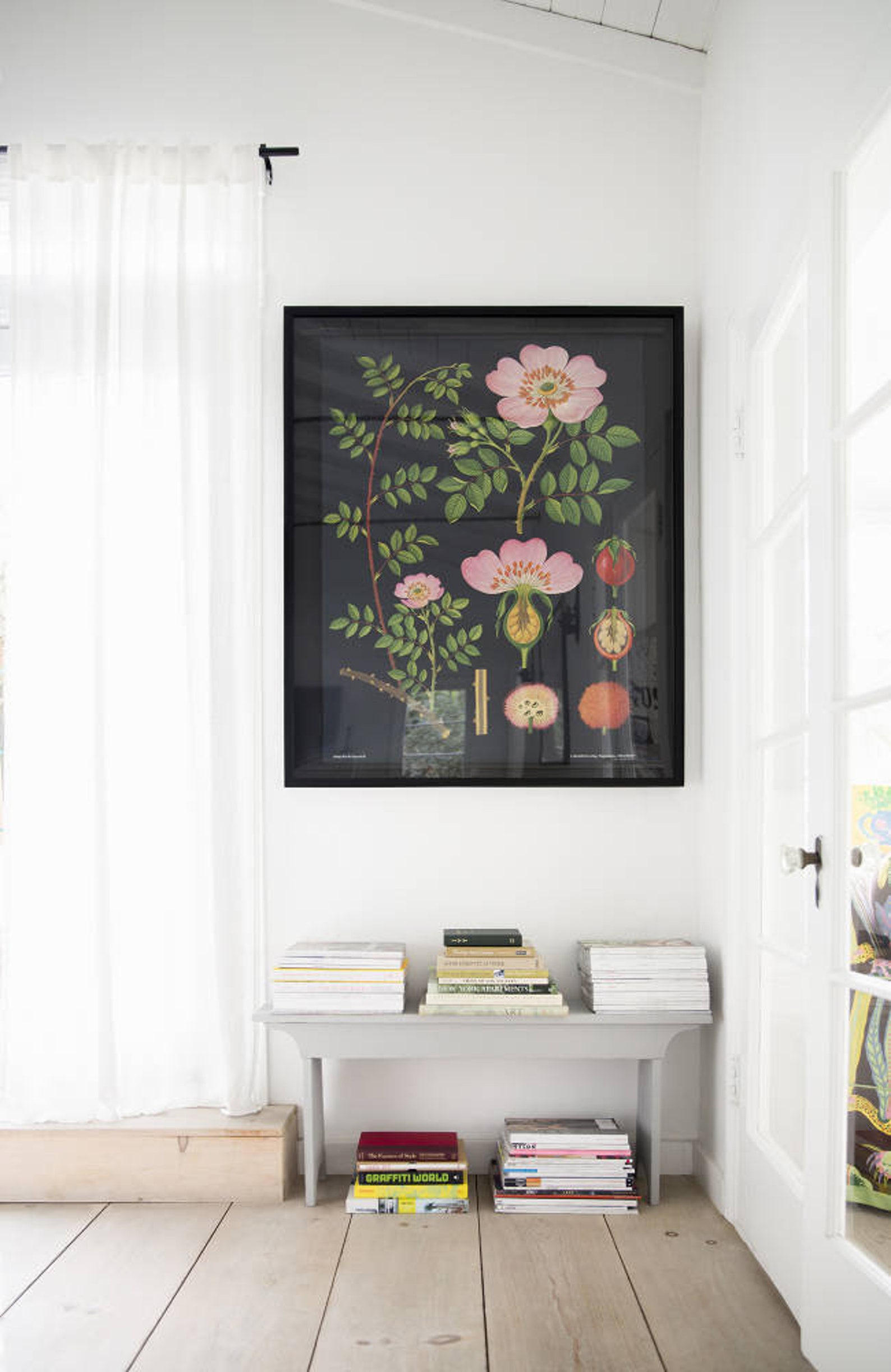 Vintage Educational Pull Down Botanical Wall Chart School - Etsy