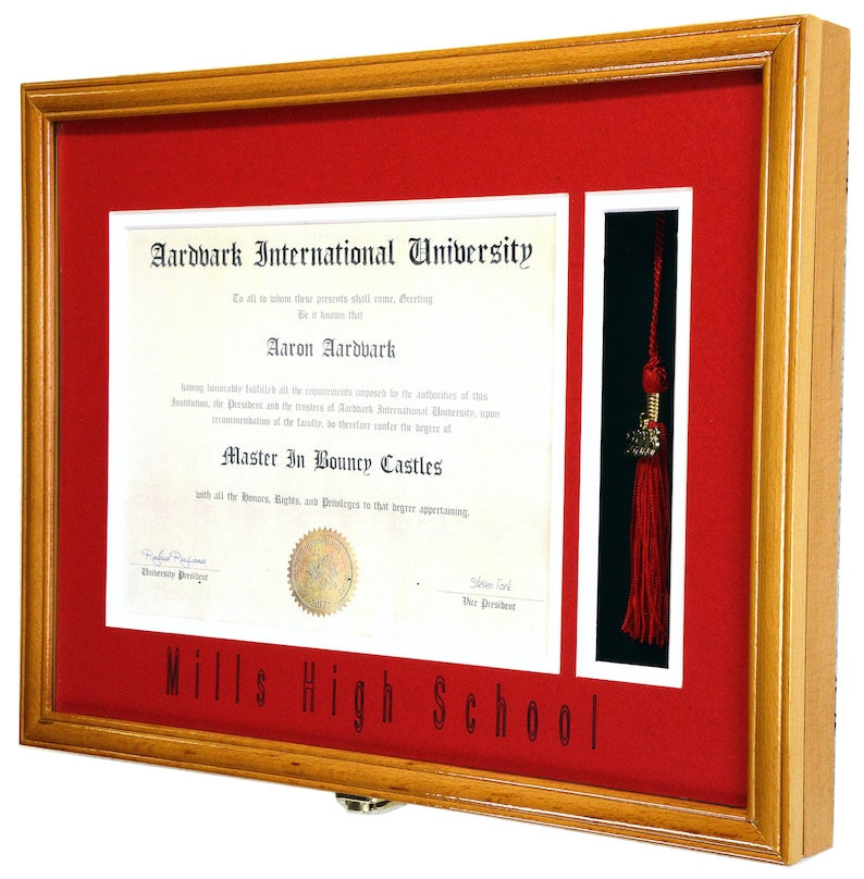 Custom Diploma and Graduation Tassel Display Case Cabinet Frame (w ...